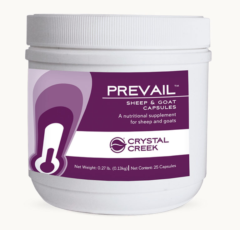 Prevail™ - Crystal Creek