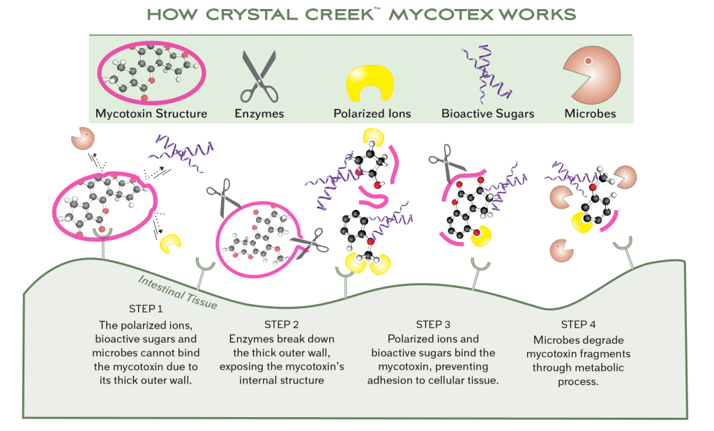 Managing Mycotoxins In Feedstuffs - Crystal Creek