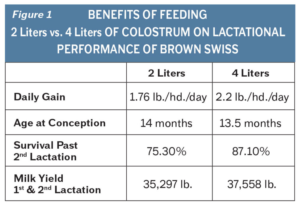 Colostrum: More Than Just Antibodies - Crystal Creek