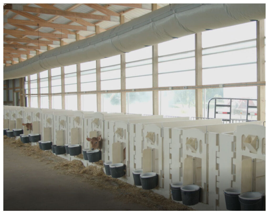 Ventilating Repurposed Structures For Calf Housing - Crystal Creek