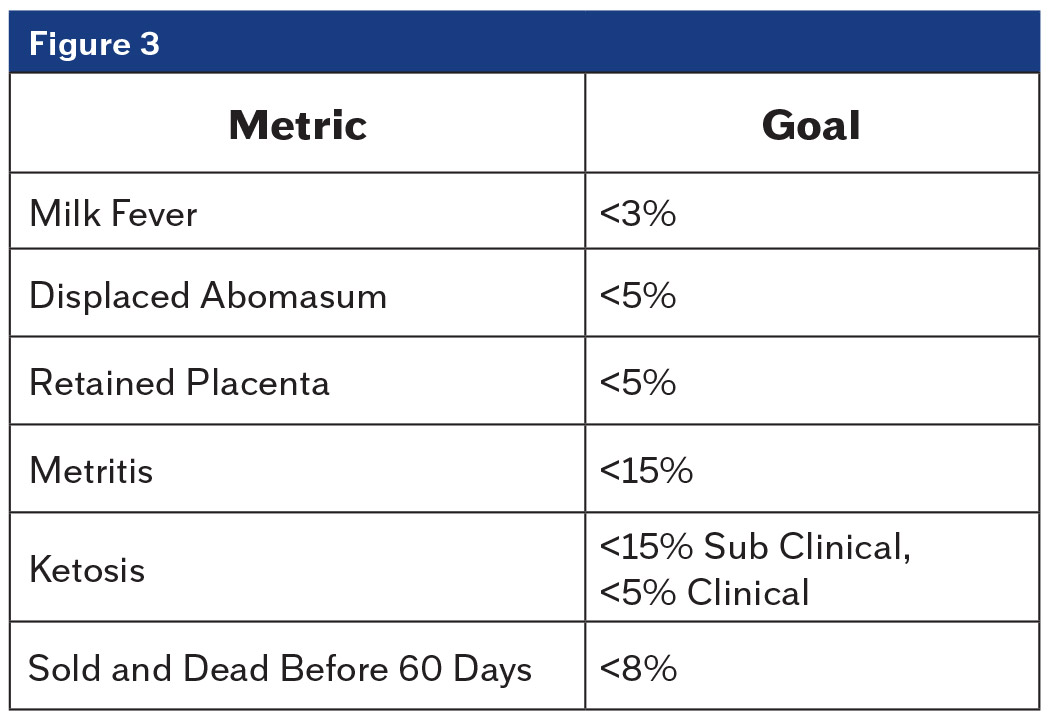 Know Where You Stand: Helpful Benchmarks To Track On Your Dairy ...
